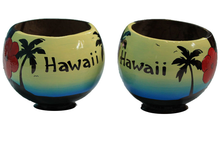 Buy a unique one of a kind gift: painted coconuts