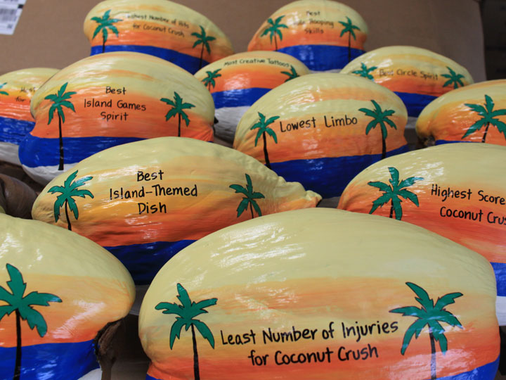 Buy painted coconuts for unique awards and one of a kind trophies